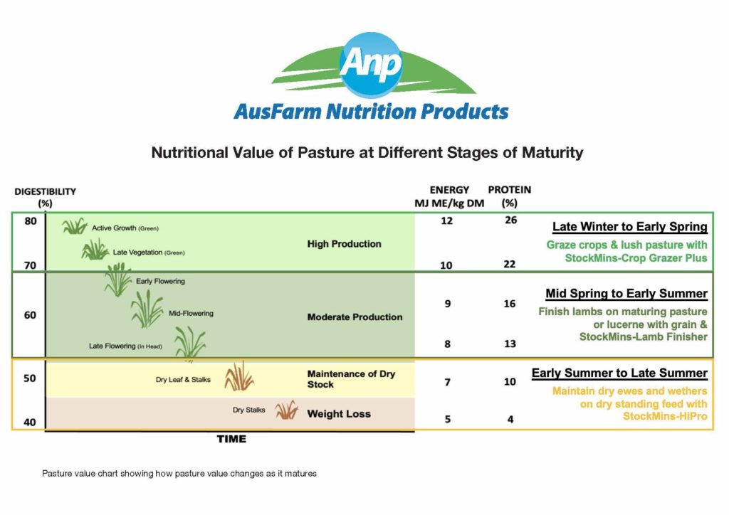 Maintaining Growth Rates on Summer Pastures | Ausfarm Nutrition Products