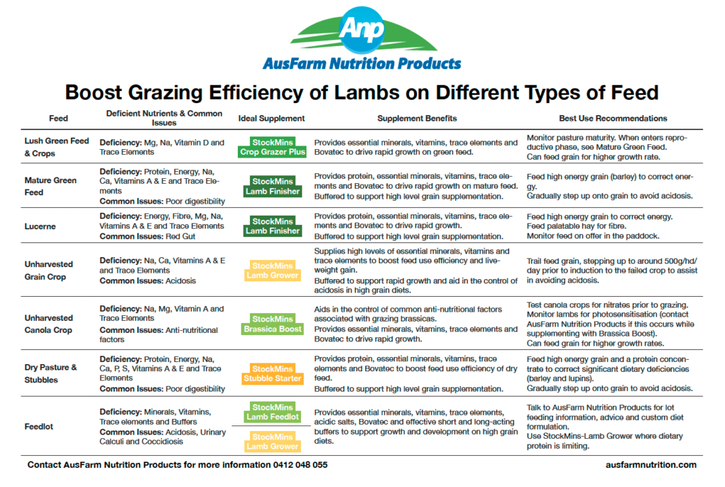 New Guide to Sheep Grazing Supplements | Ausfarm Nutrition Products
