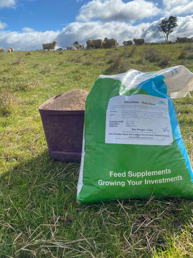 Control Lameness Before Joining for Better Lambing Results | Ausfarm ...