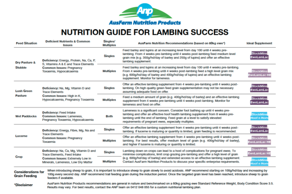 NEW Lambing Nutrition Guide | Ausfarm Nutrition Products