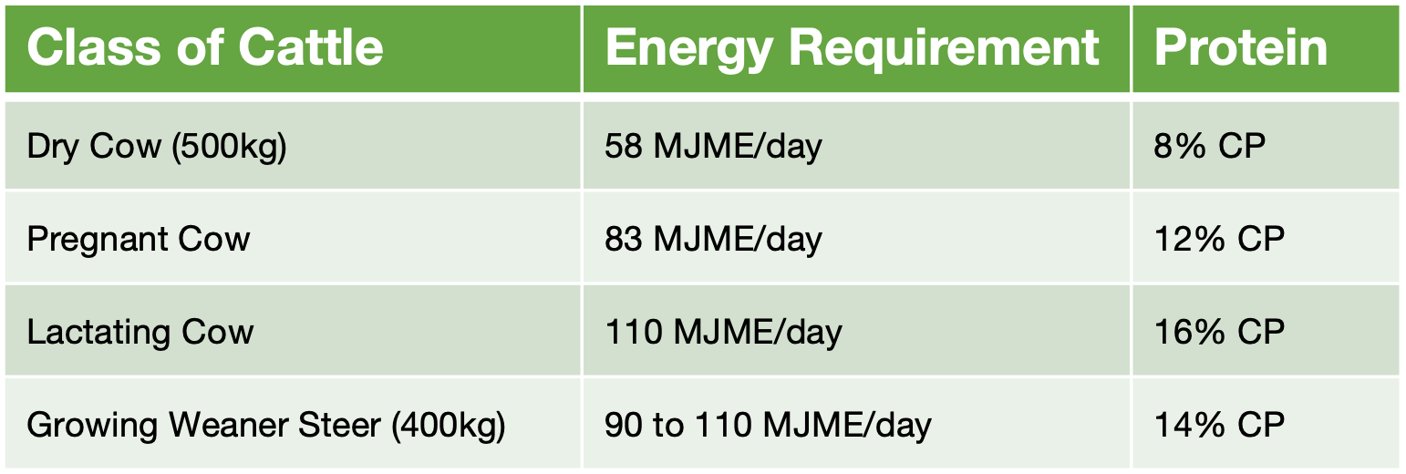 Dry Season Feeding Guide | Ausfarm Nutrition Products