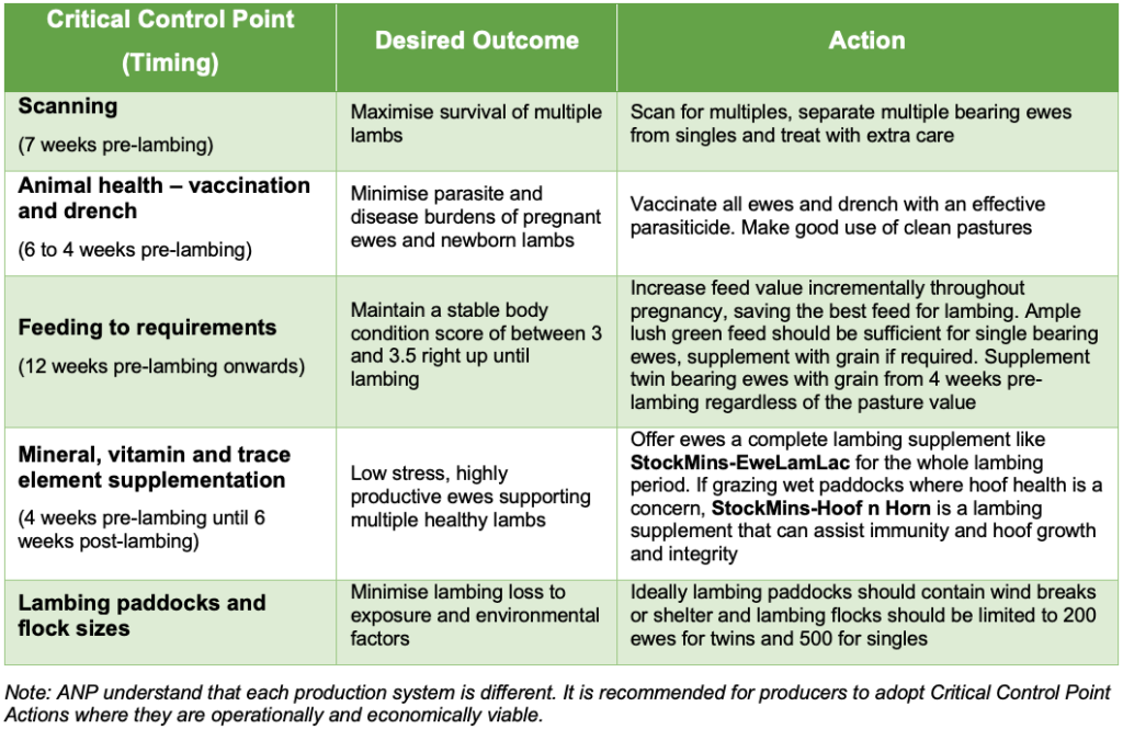 Incremental Improvements to Boost lambing in 2025 | Ausfarm Nutrition ...