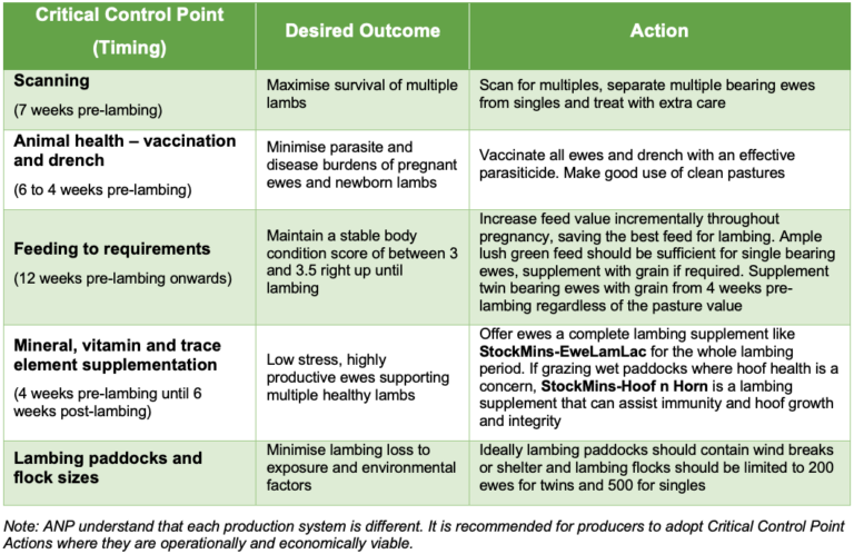 Incremental Improvements to Boost lambing in 2025 | Ausfarm Nutrition ...